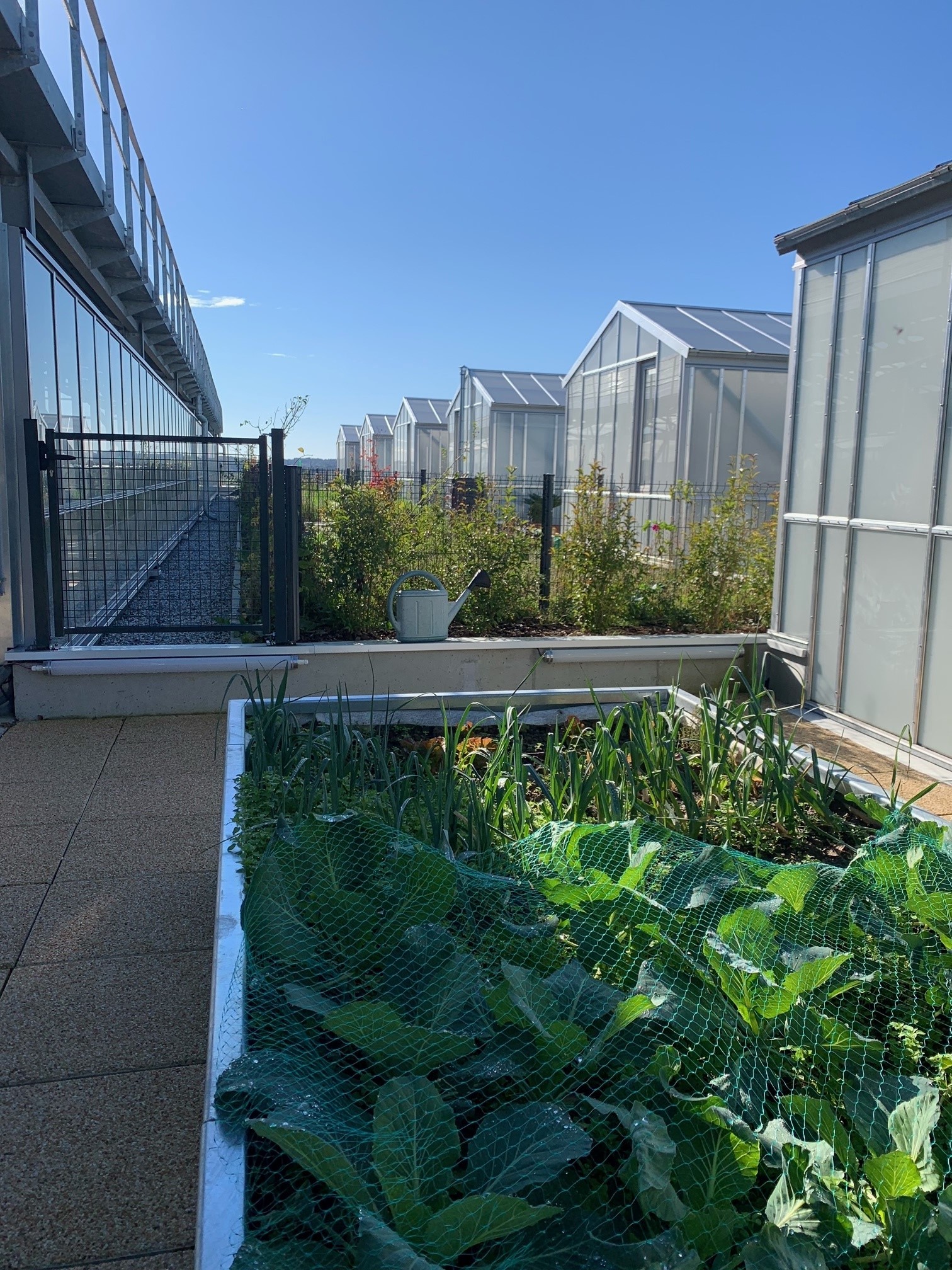 L'agriculture urbaine au cœur de nos projets Groupe Launay | Groupe Launay